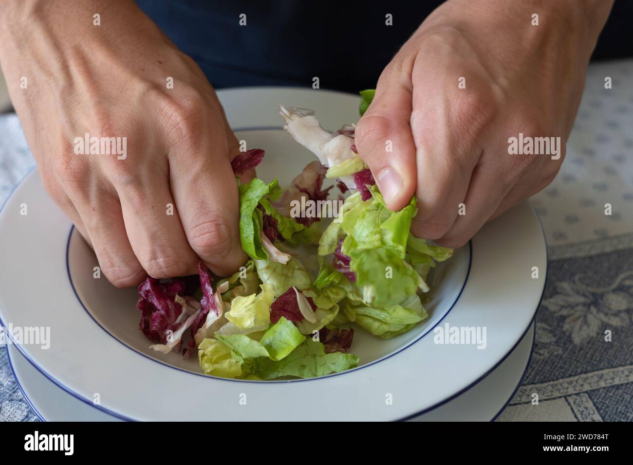 Ripping food into small pieces hi-res stock photography and images - Alamy