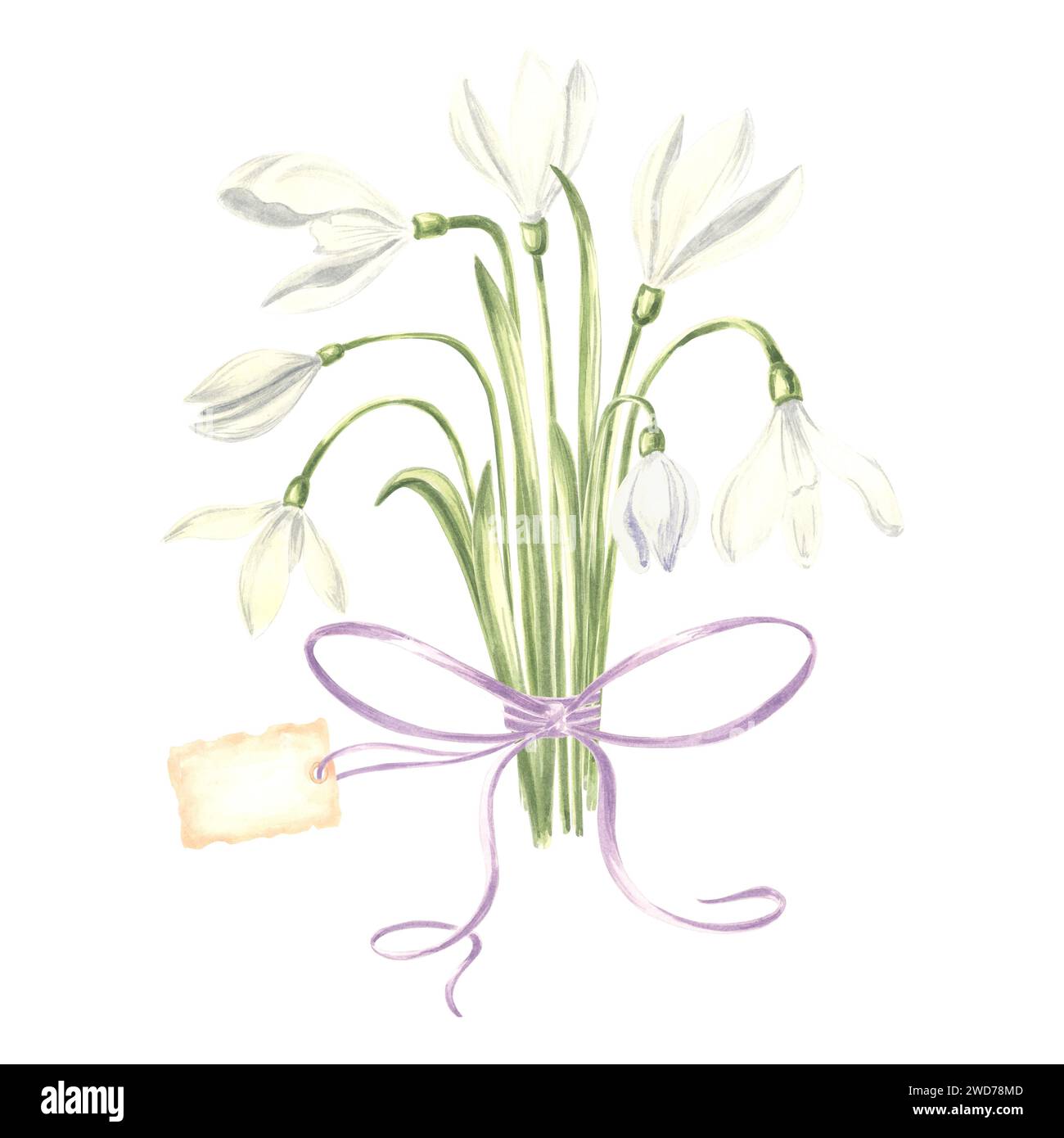 Watercolor bouquet of white snowdrops flower with bow and tag. Isolated ...