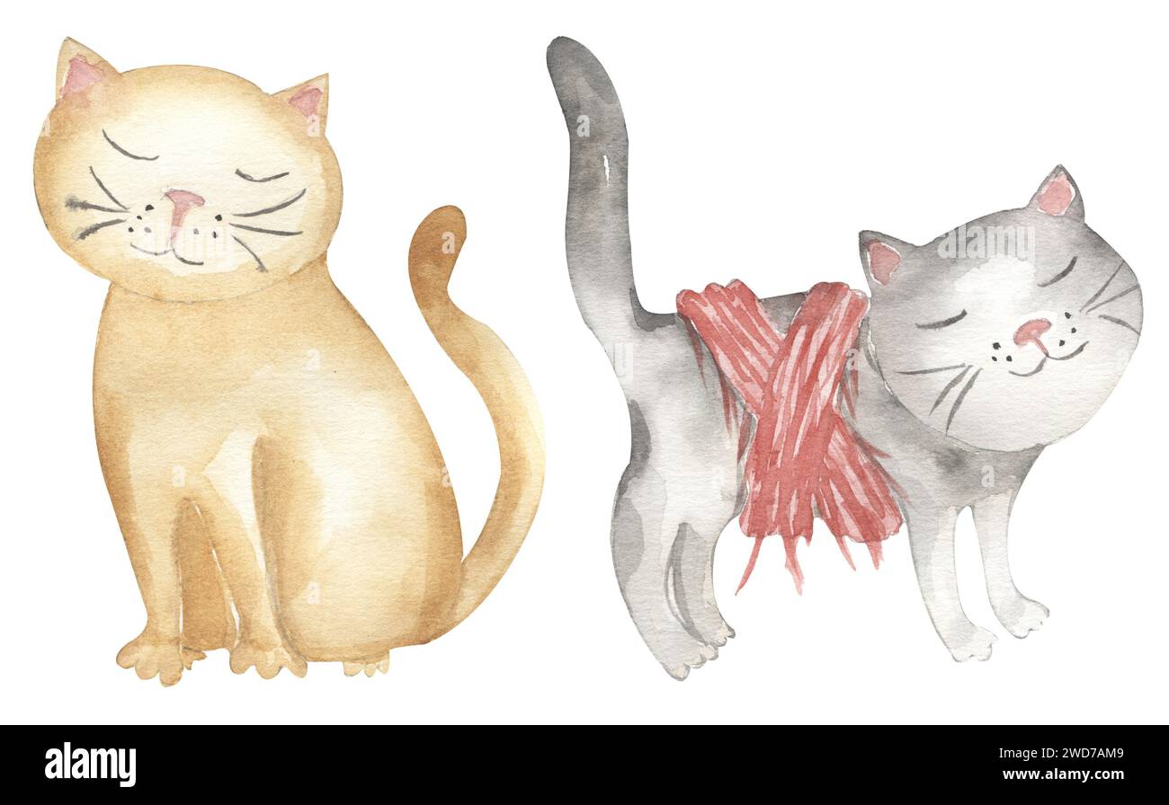 Watercolor cute cat clipart set, animals illustration. domestic animal ...