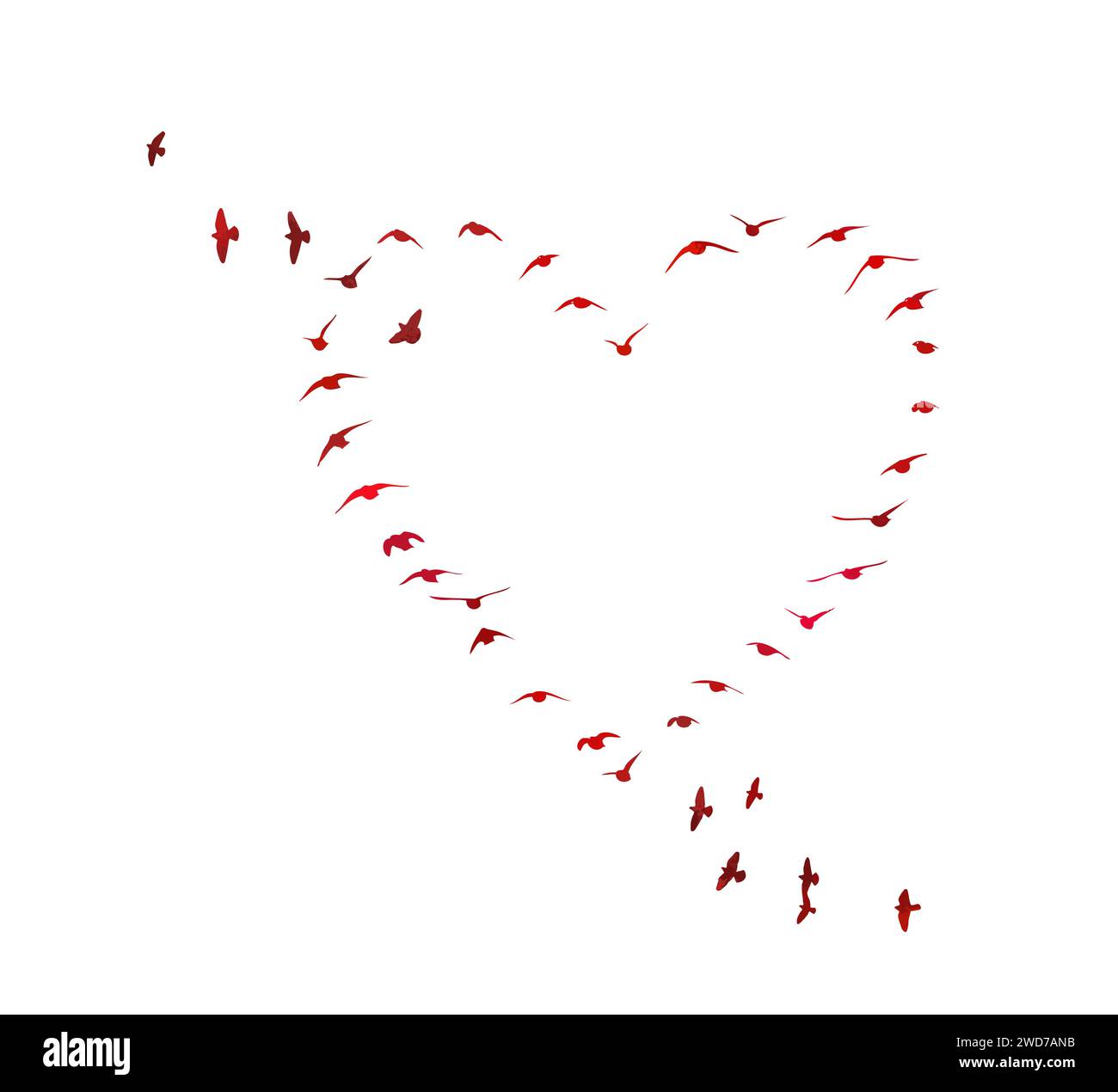 Bird decals hi-res stock photography and images - Alamy