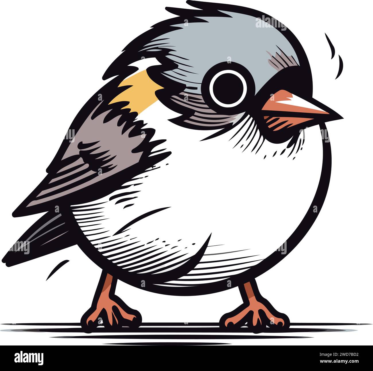 The chaffinch Stock Vector Images - Alamy