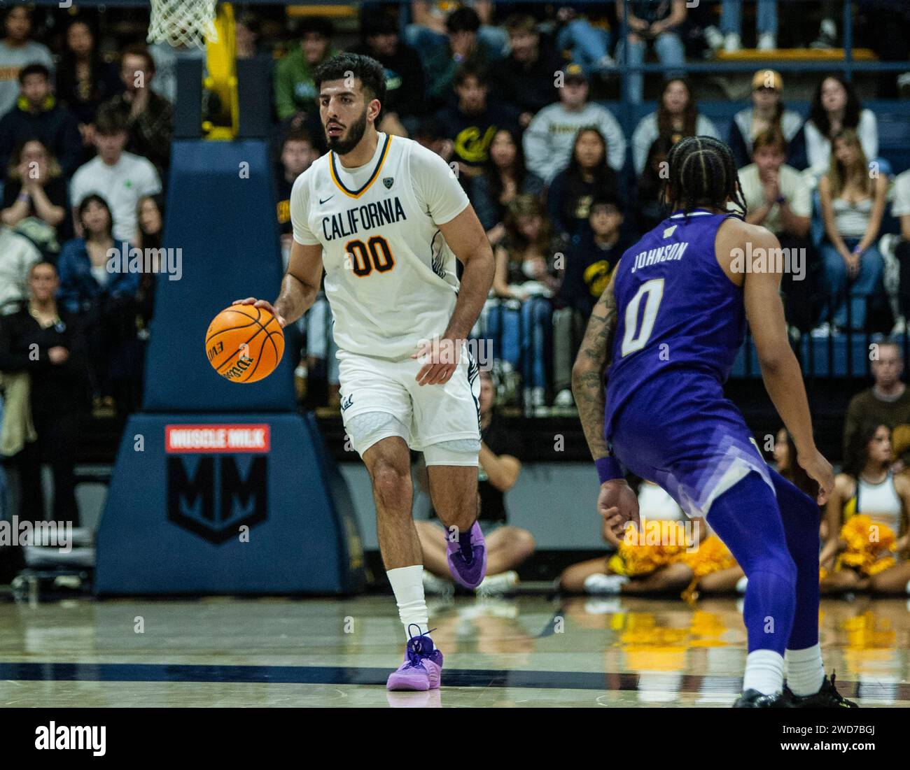 2024 0443 jpg hi-res stock photography and images - Alamy