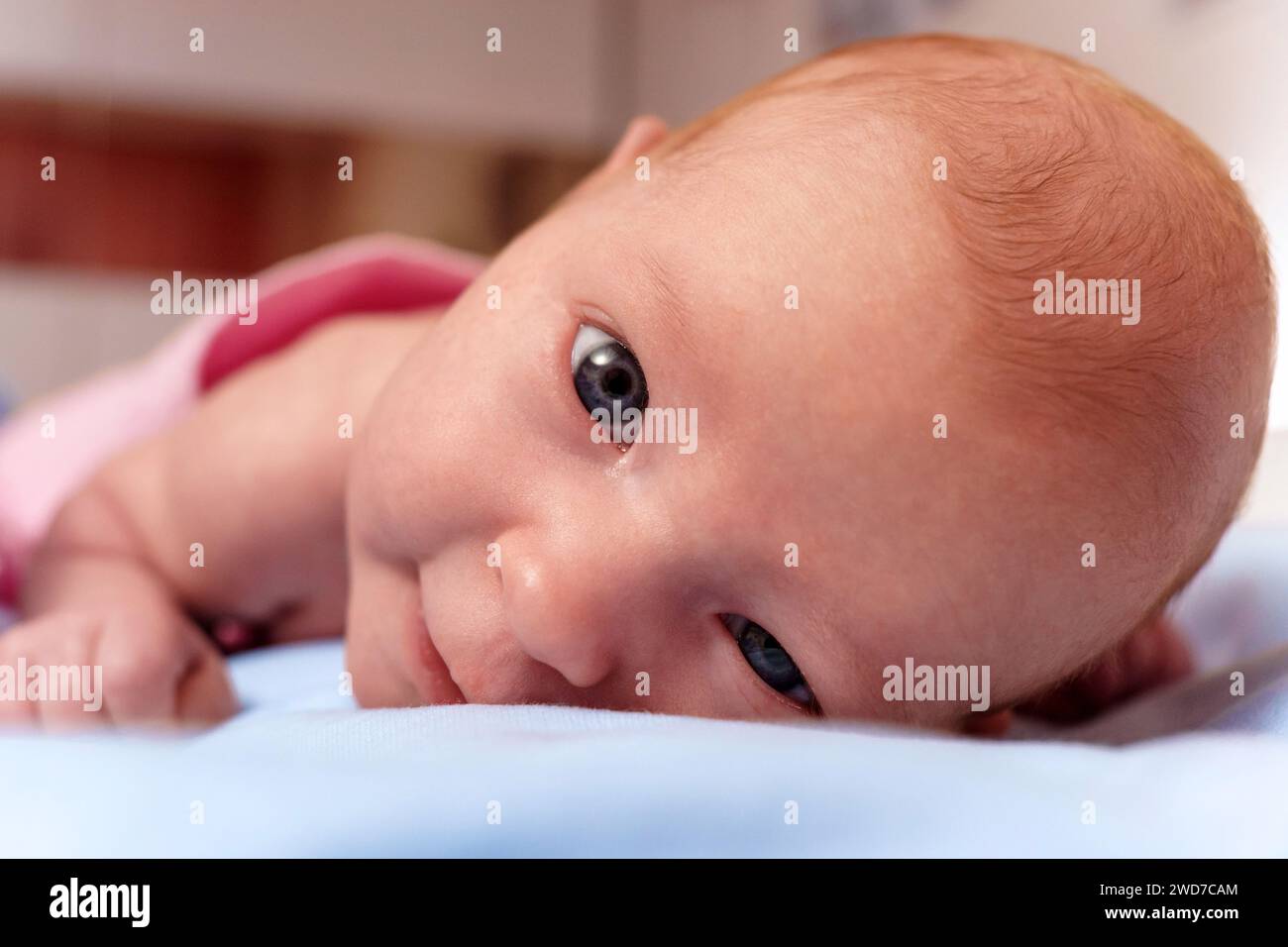 Innocent Gaze of a Newborn, Confident Eyes Exploring the World at Two ...