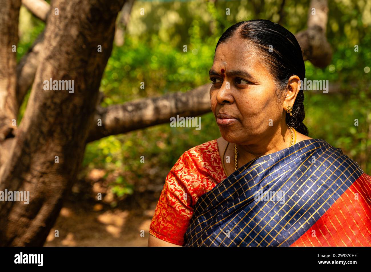 Step back in time with this captivating stock image featuring closeup ...