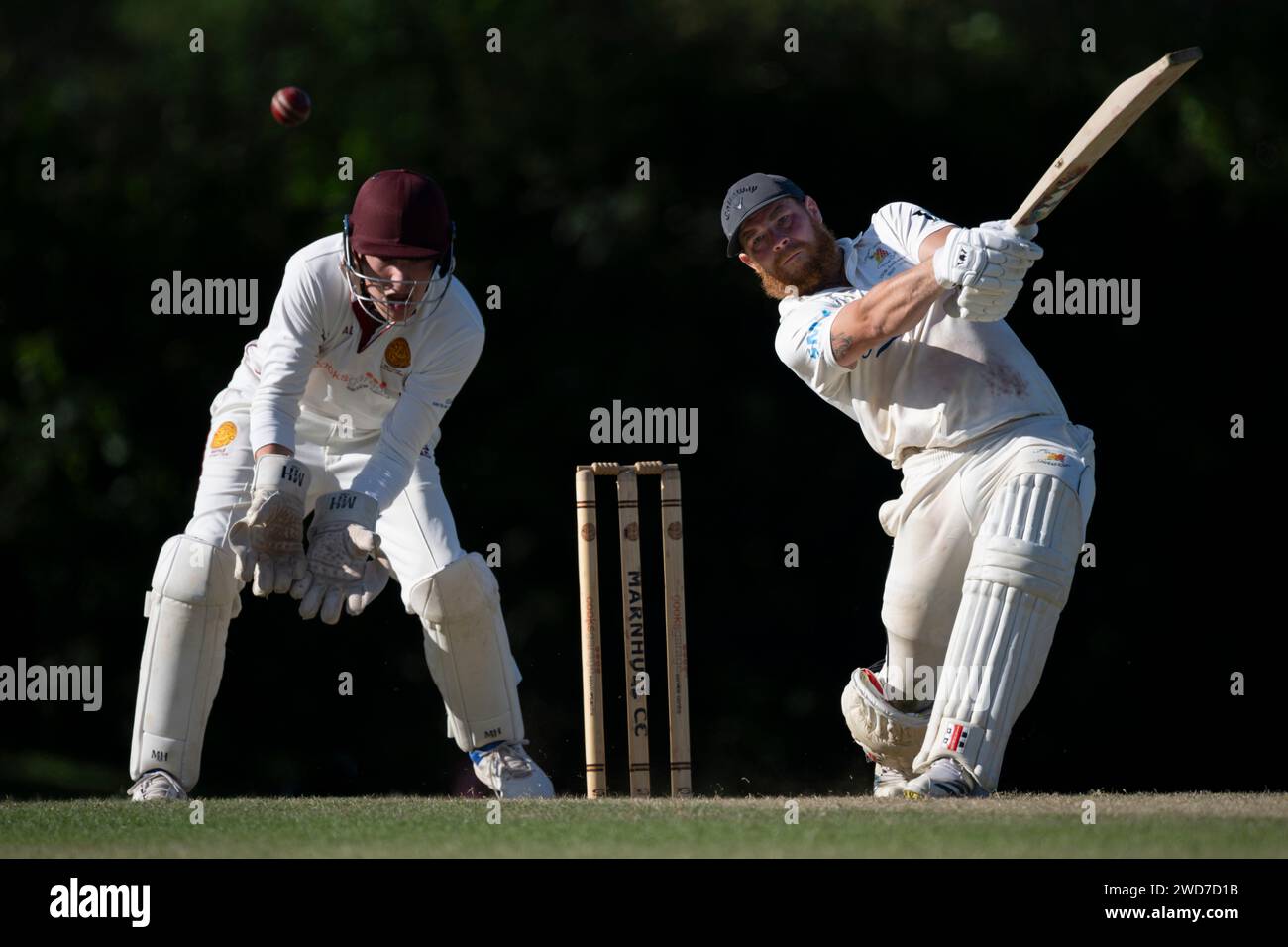 Cricket, batsman in action Stock Photo - Alamy