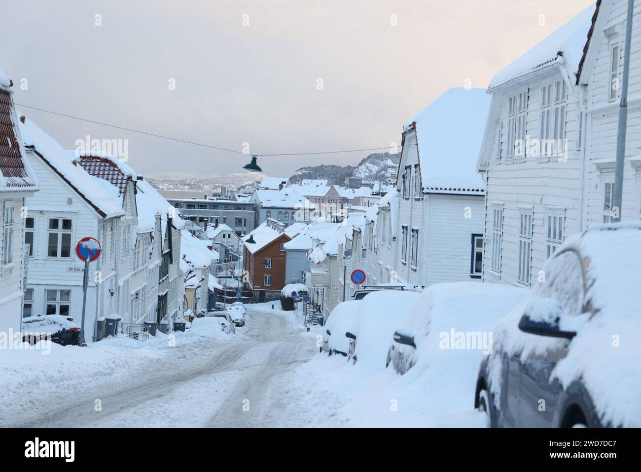 Bergen 20240119.Snow covered cars in Bergen, Henrik Wergelandsgate at ...