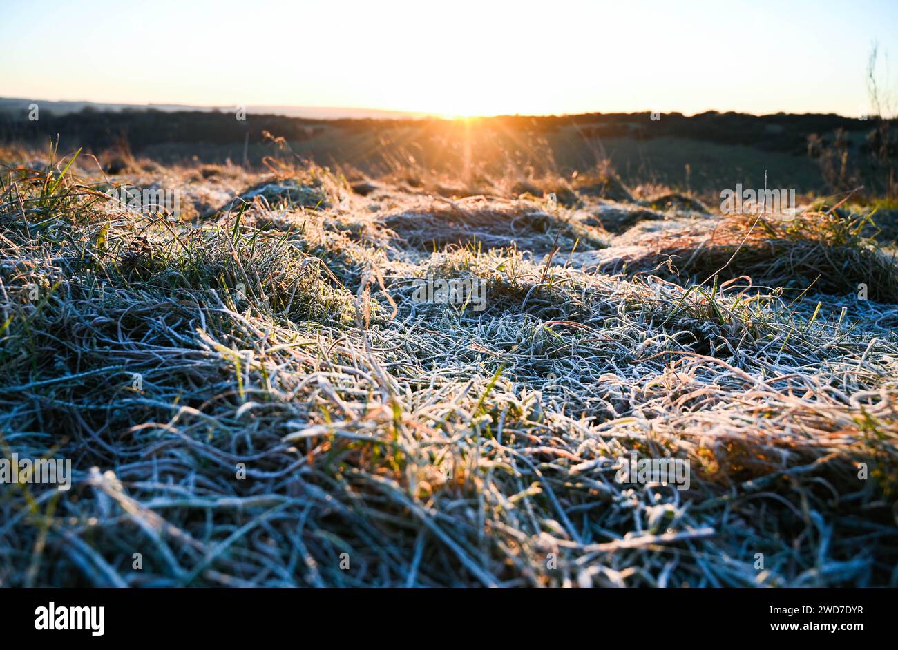 Early january 2024 hi-res stock photography and images - Alamy