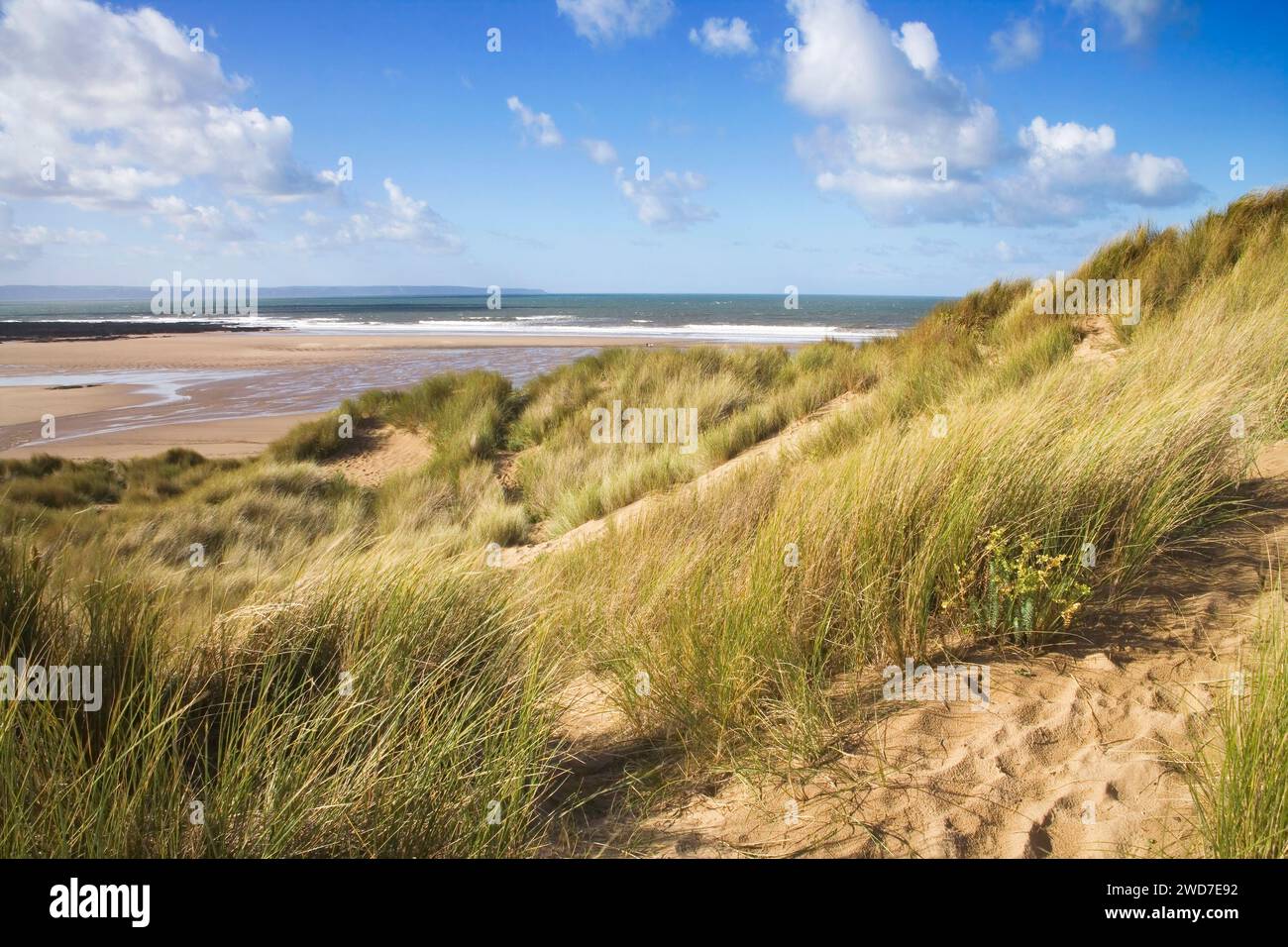 beach and sand dunes at croyde on the north Devon coast Stock Photo - Alamy