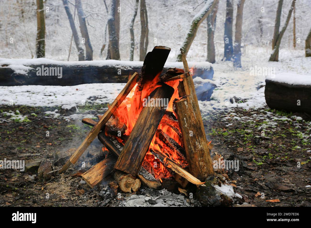 Hot flame over burning wood in winter tourist camp Stock Photo - Alamy