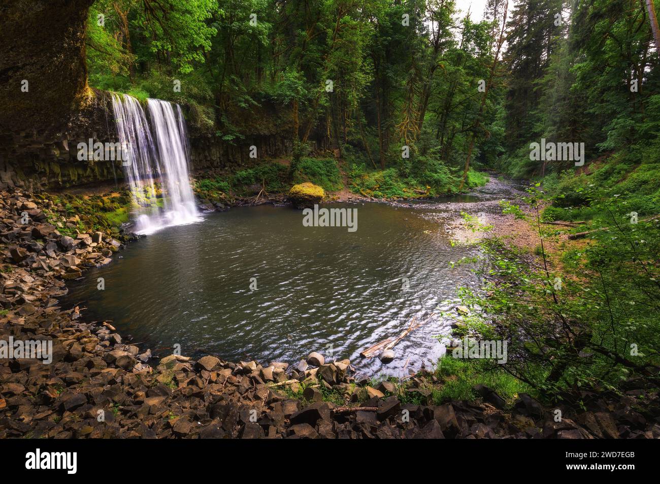 Beaver Falls cascading into a serene pool surrounded by dense forests ...