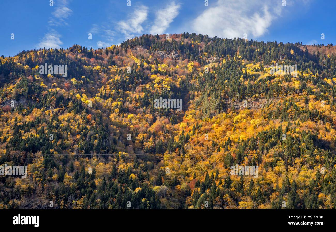 Enguri river gorge. Samegrelo-Zemo. Svaneti. Georgia Stock Photo - Alamy