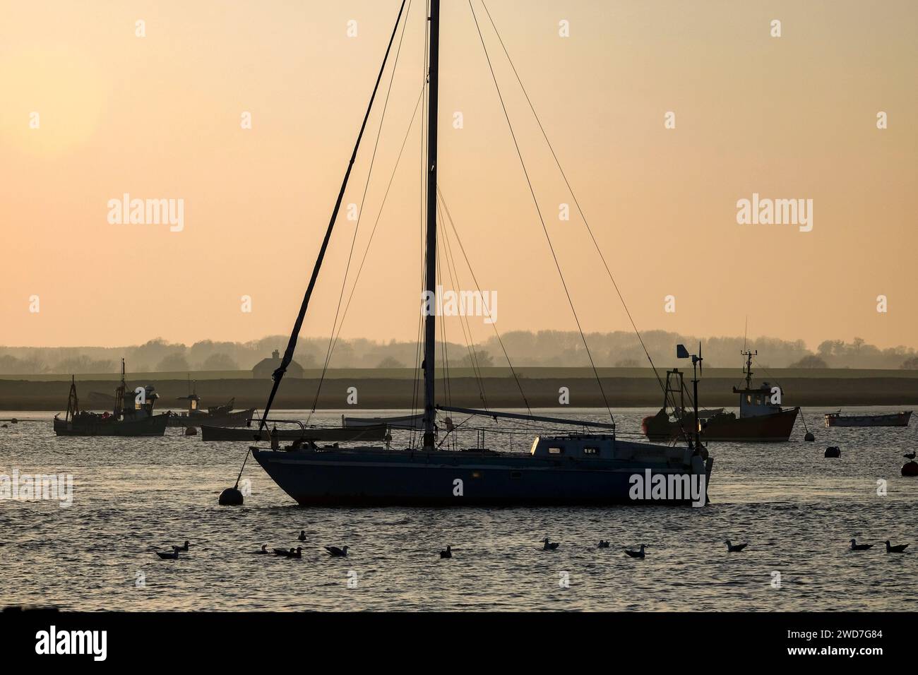 River Deben Felixstowe Ferry Suffolk Stock Photo - Alamy