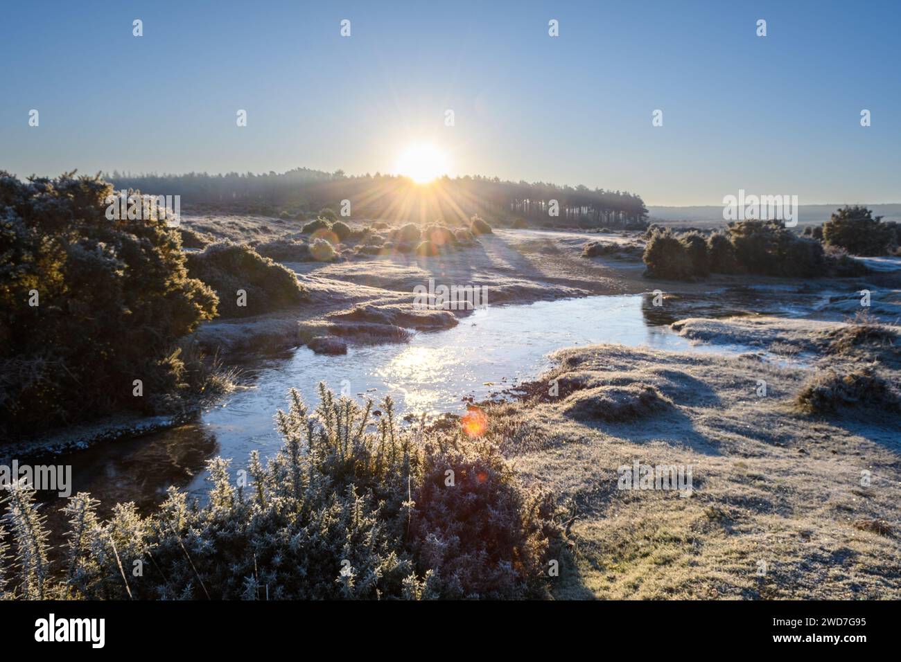 Godshill, New Forest, Hampshire, UK, 19th January 2024: Weather. Hard ...