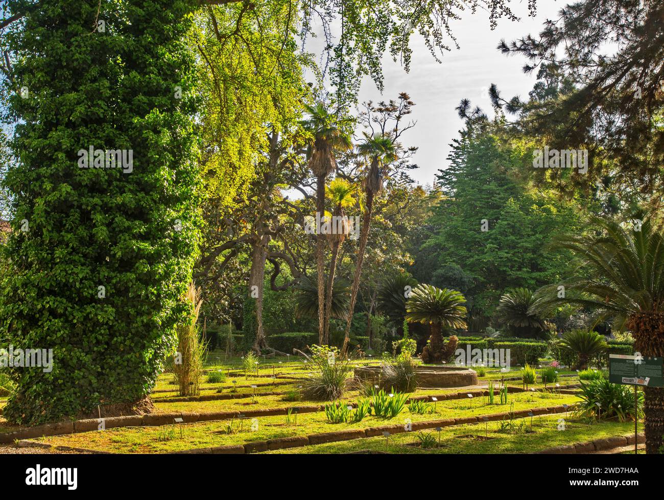 Garden and Botanical Museum of Pisa in Pisa. Italy Stock Photo - Alamy