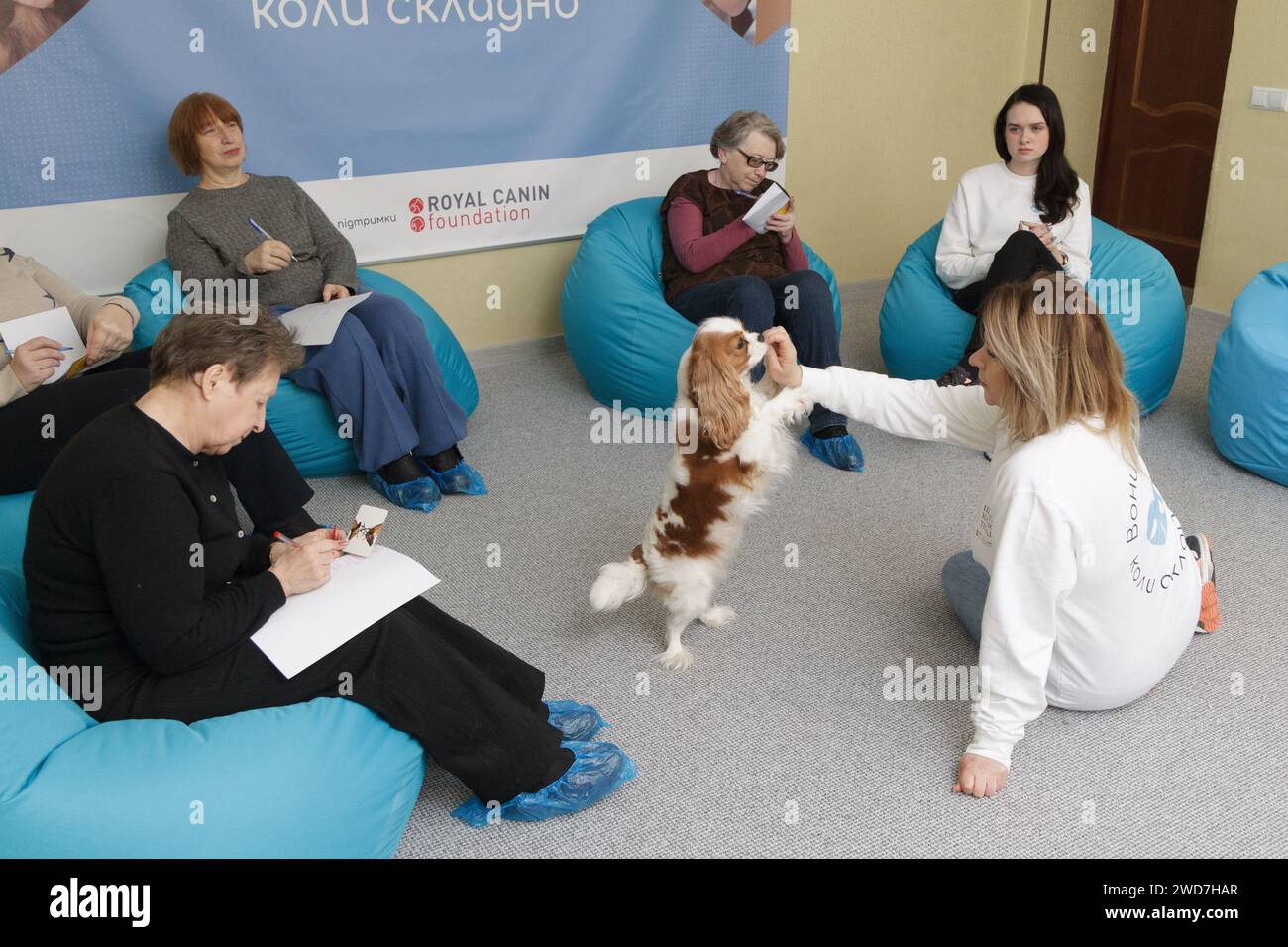 Dariia reznichenko hi-res stock photography and images - Alamy