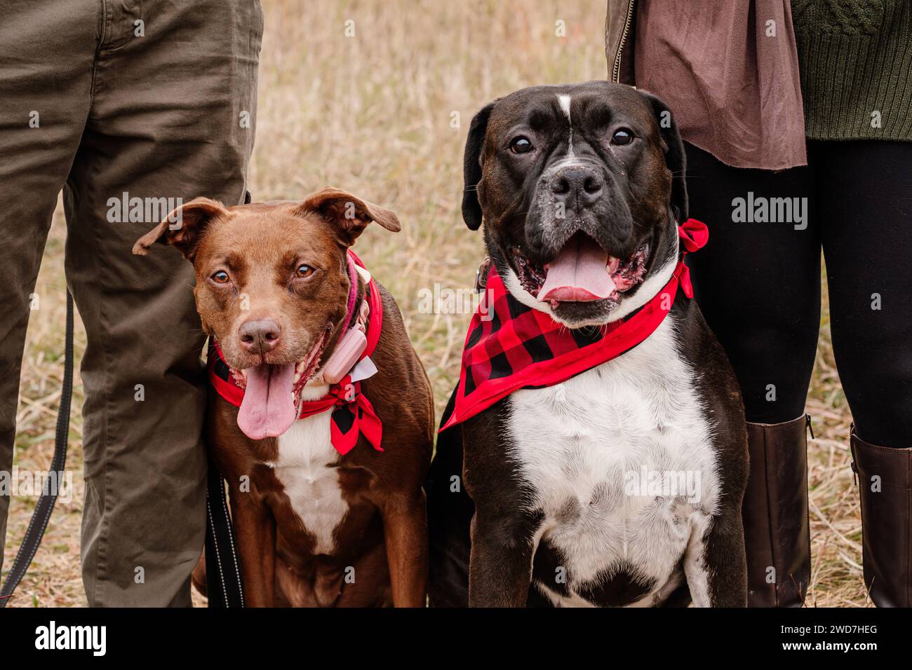 Bandanas hi-res stock photography and images - Alamy