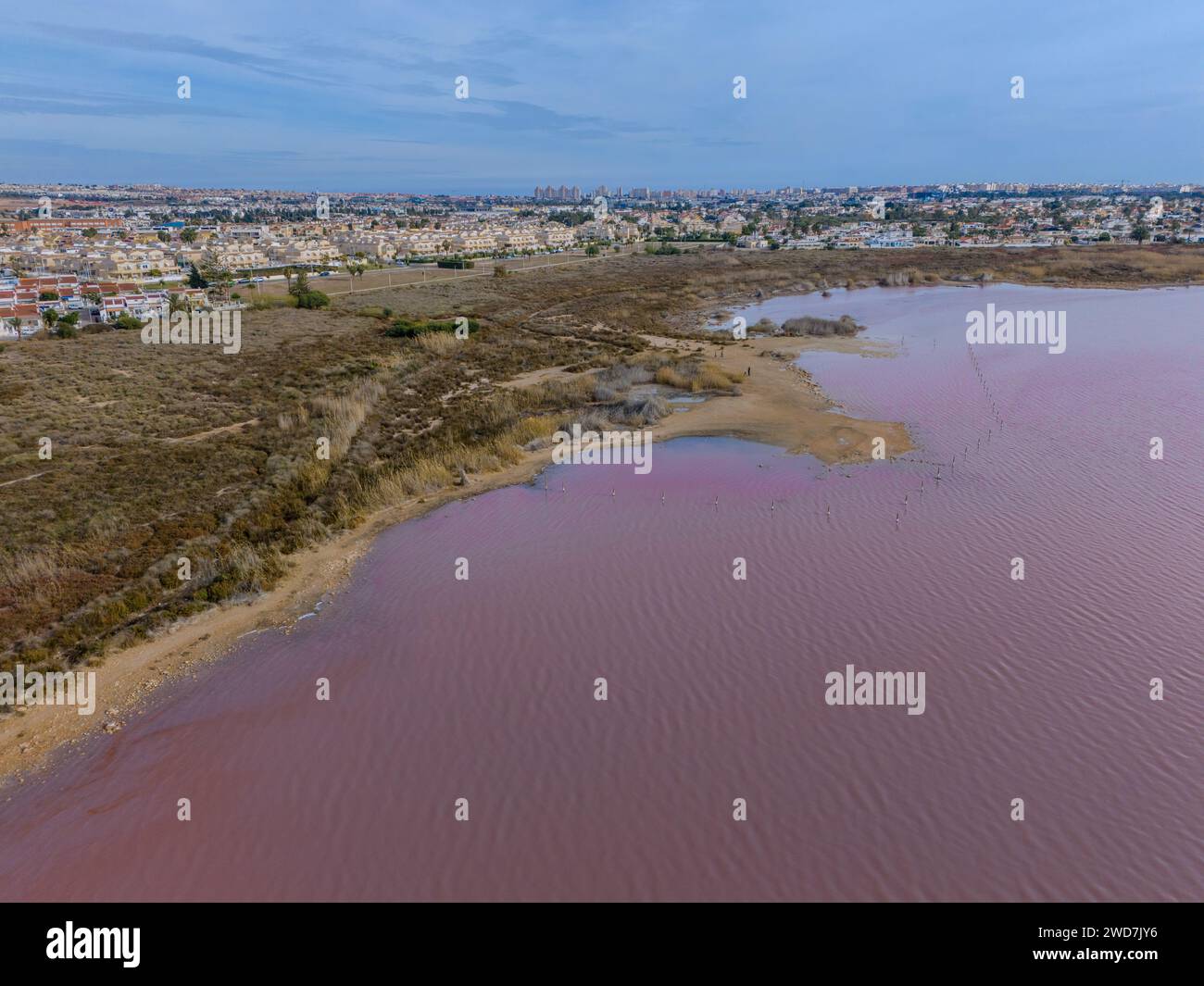 Aerial view of a city overlooking a lake adorned with vibrant pink ...