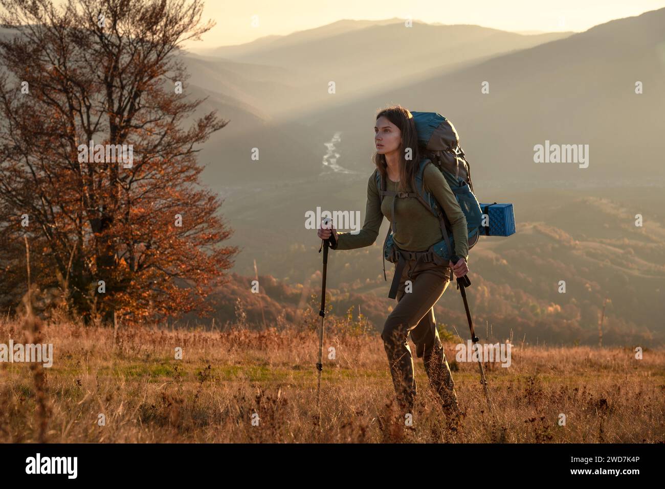 Female Hiker Traverses Meadow Slope In Mountains Stock Photo - Alamy