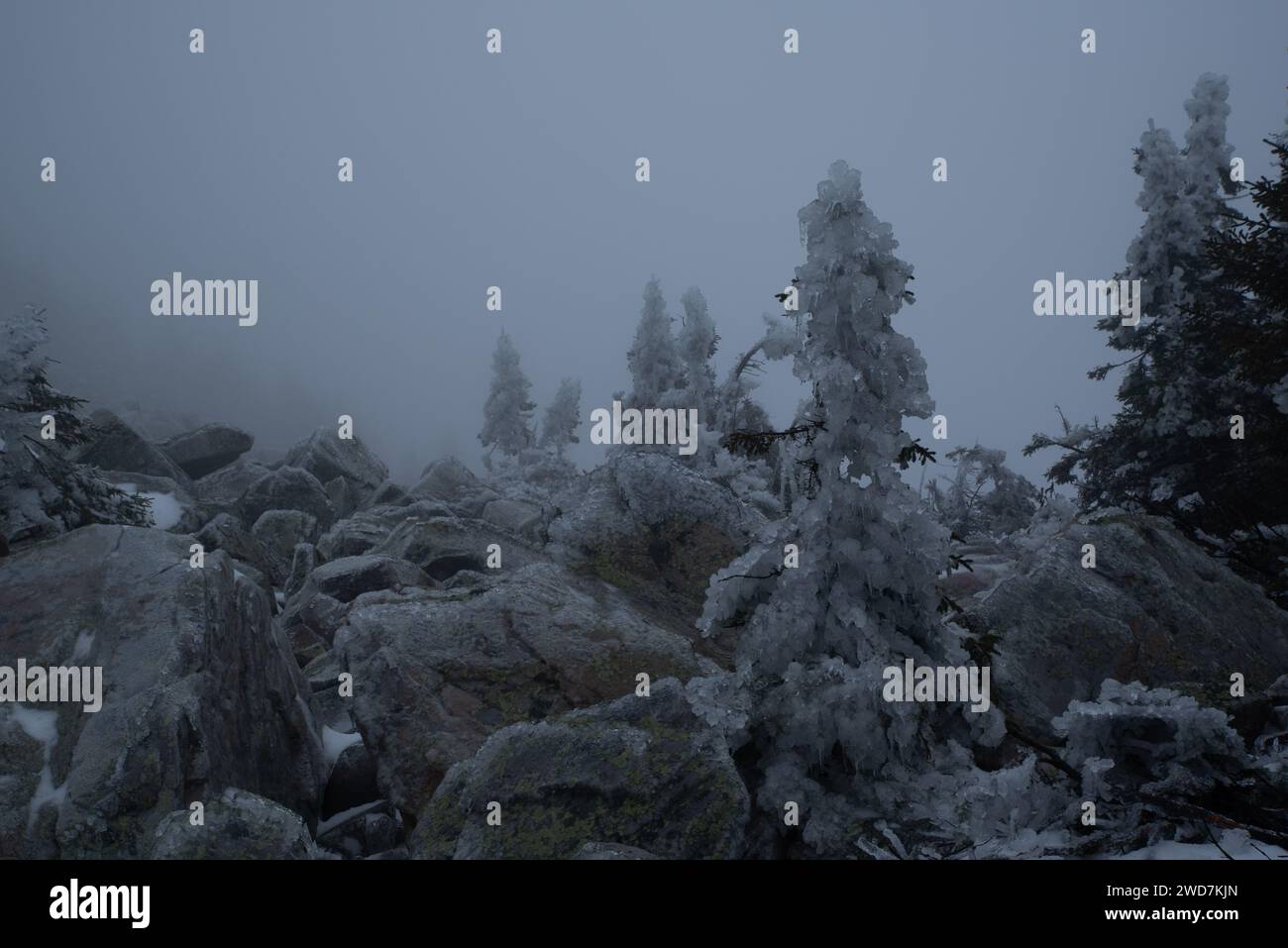 Wonderland of rocks hi-res stock photography and images - Alamy
