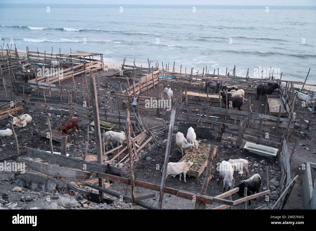 GHANA, Accra, Jamestown, cattle shed at beach / GHANA, Accra, Jamestown ...