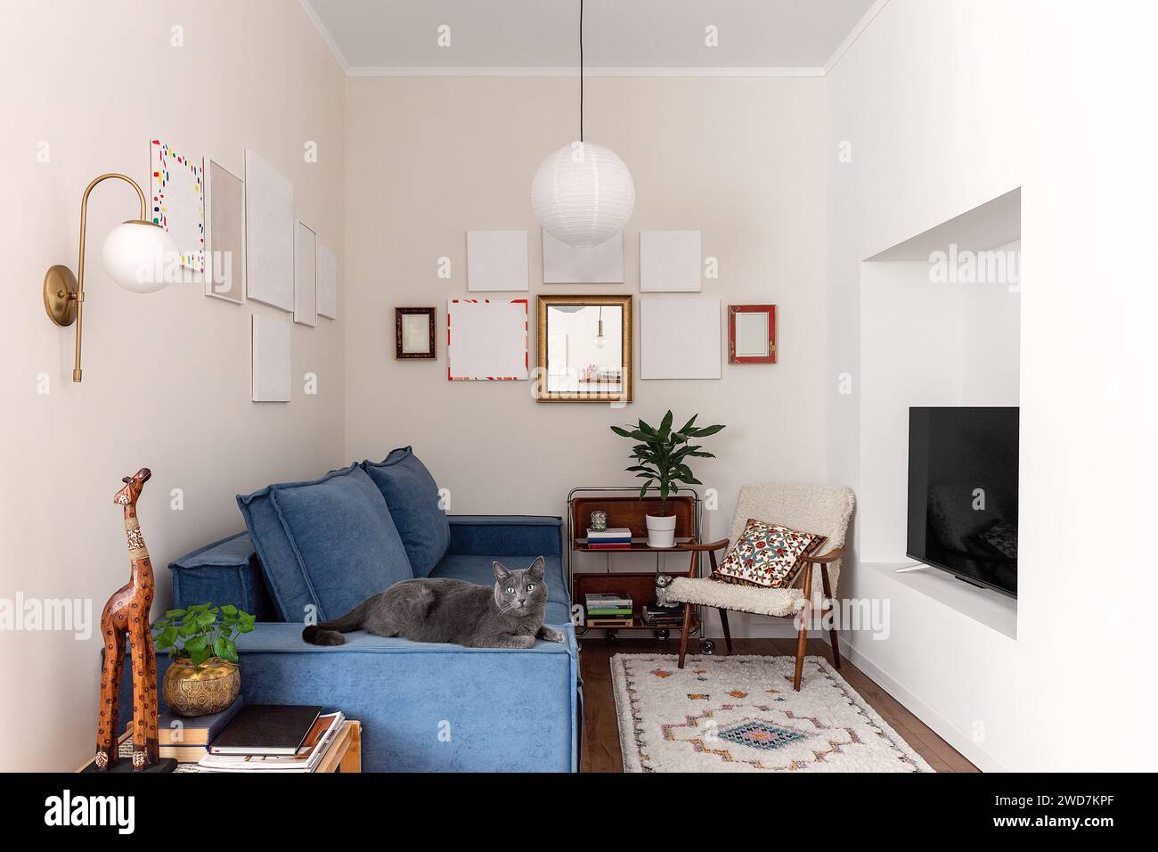 Beautiful cat in a vintage decorated hall Stock Photo - Alamy