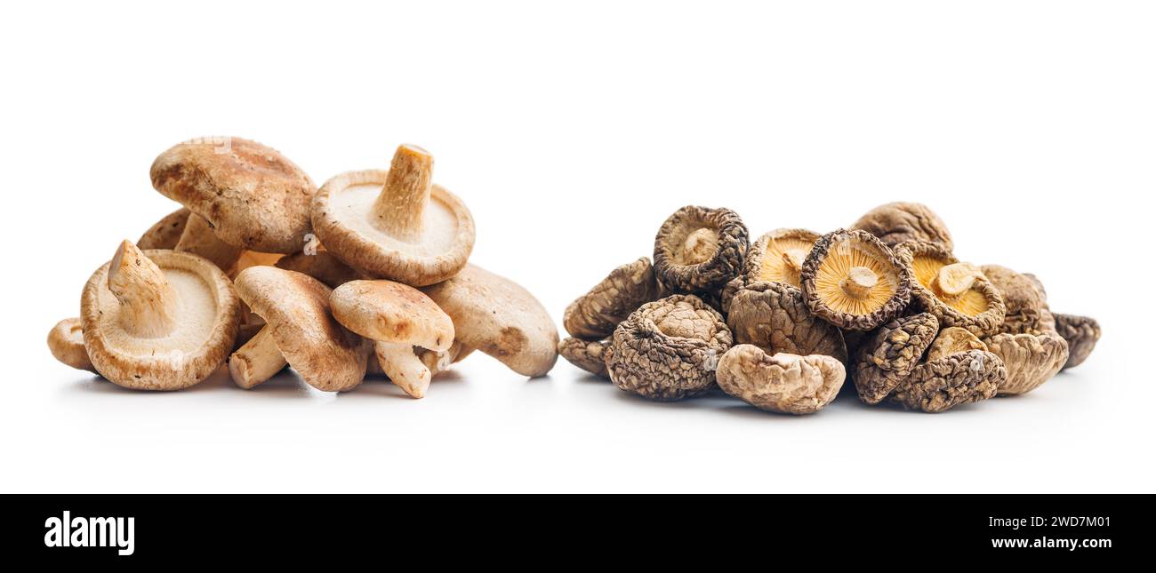 Fresh and dried shiitake mushrooms isolated on the white background ...