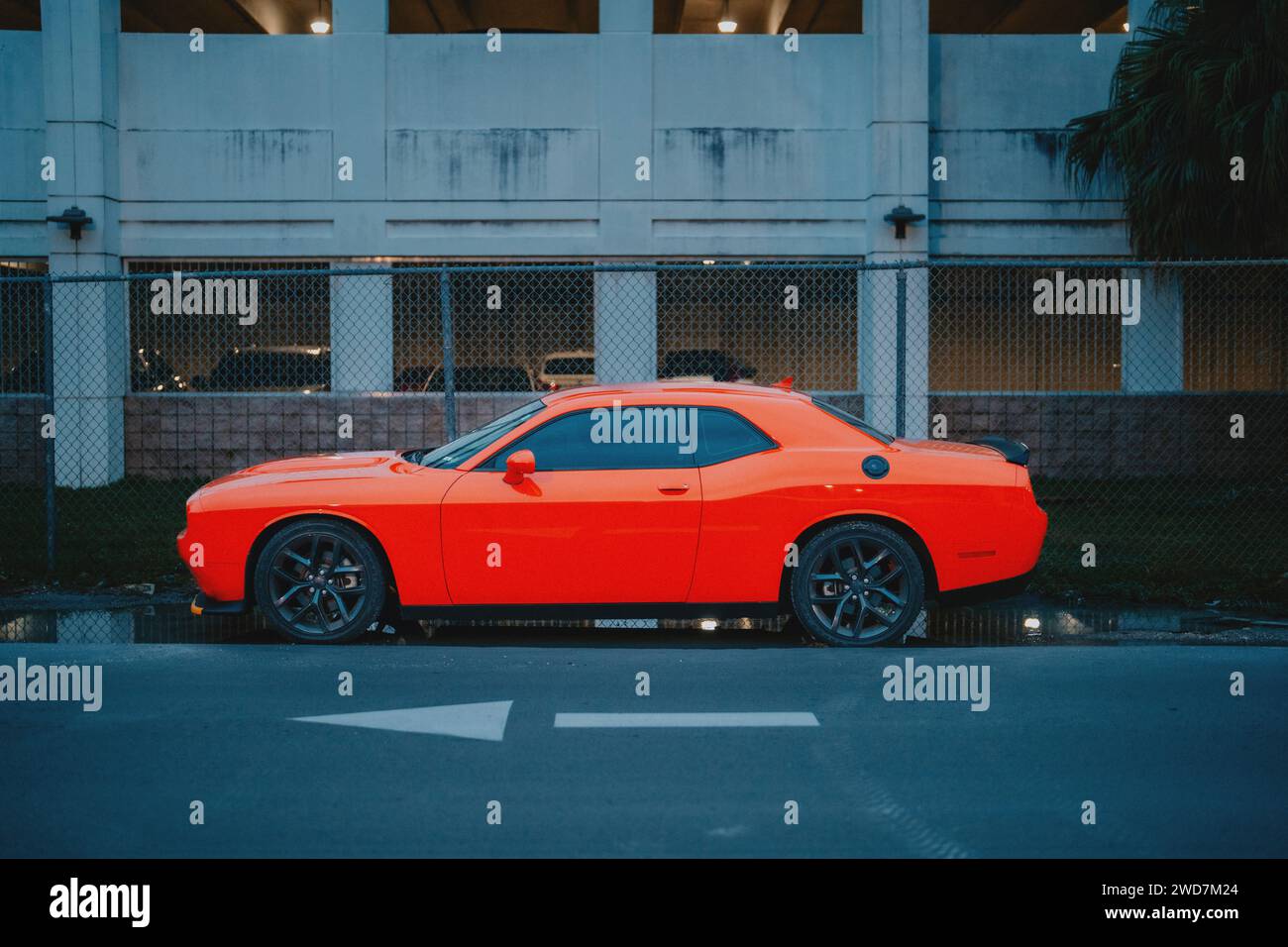 Sport car miami miami hi-res stock photography and images - Alamy