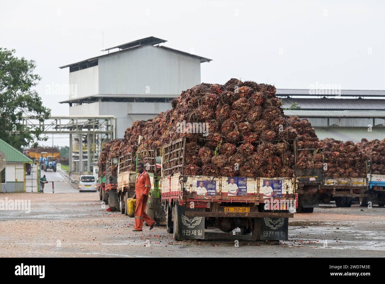 GHANA, Kwae, GOPDC, a member of the Siat Group of Belgium, is an ...