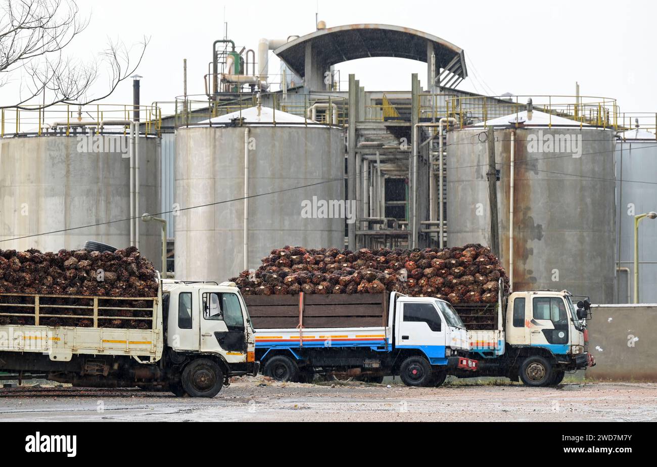 GHANA, Kwae, GOPDC, a member of the Siat Group of Belgium, is an ...
