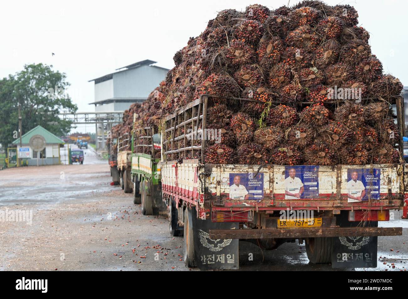 GHANA, Kwae, GOPDC, a member of the Siat Group of Belgium, is an ...