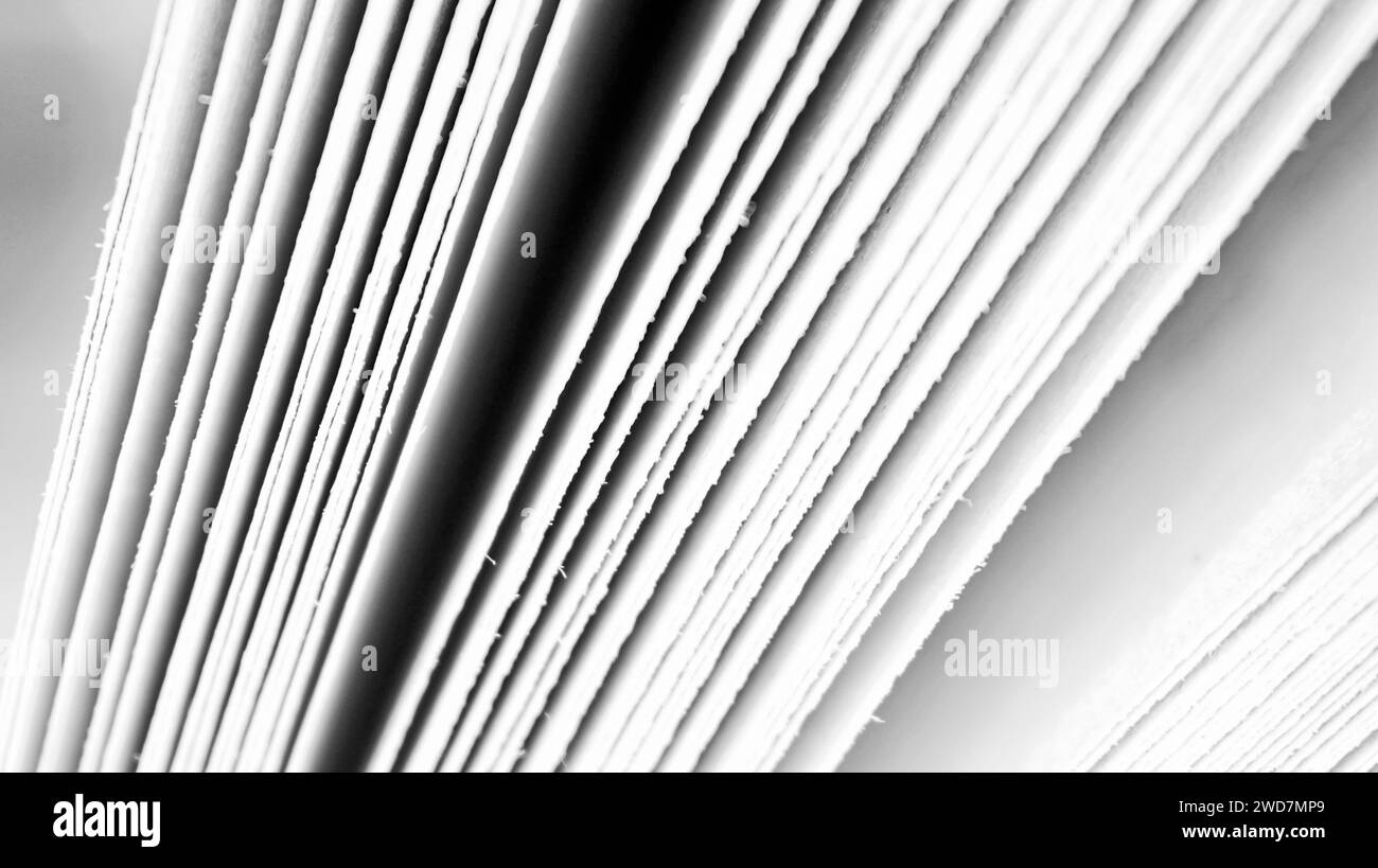 Books and sheets of a book for backgrounds Stock Photo - Alamy
