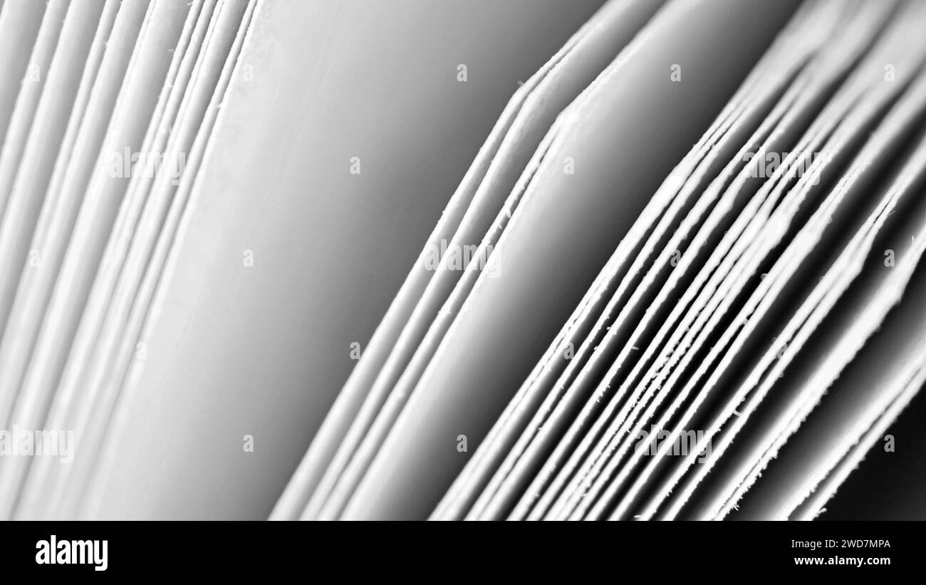 Books and sheets of a book for backgrounds Stock Photo - Alamy