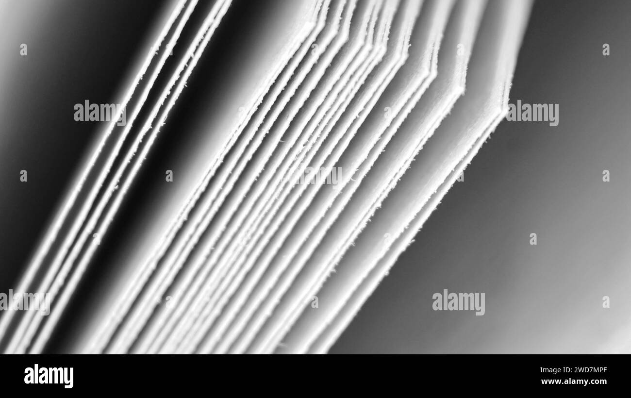 Books and sheets of a book for backgrounds Stock Photo - Alamy