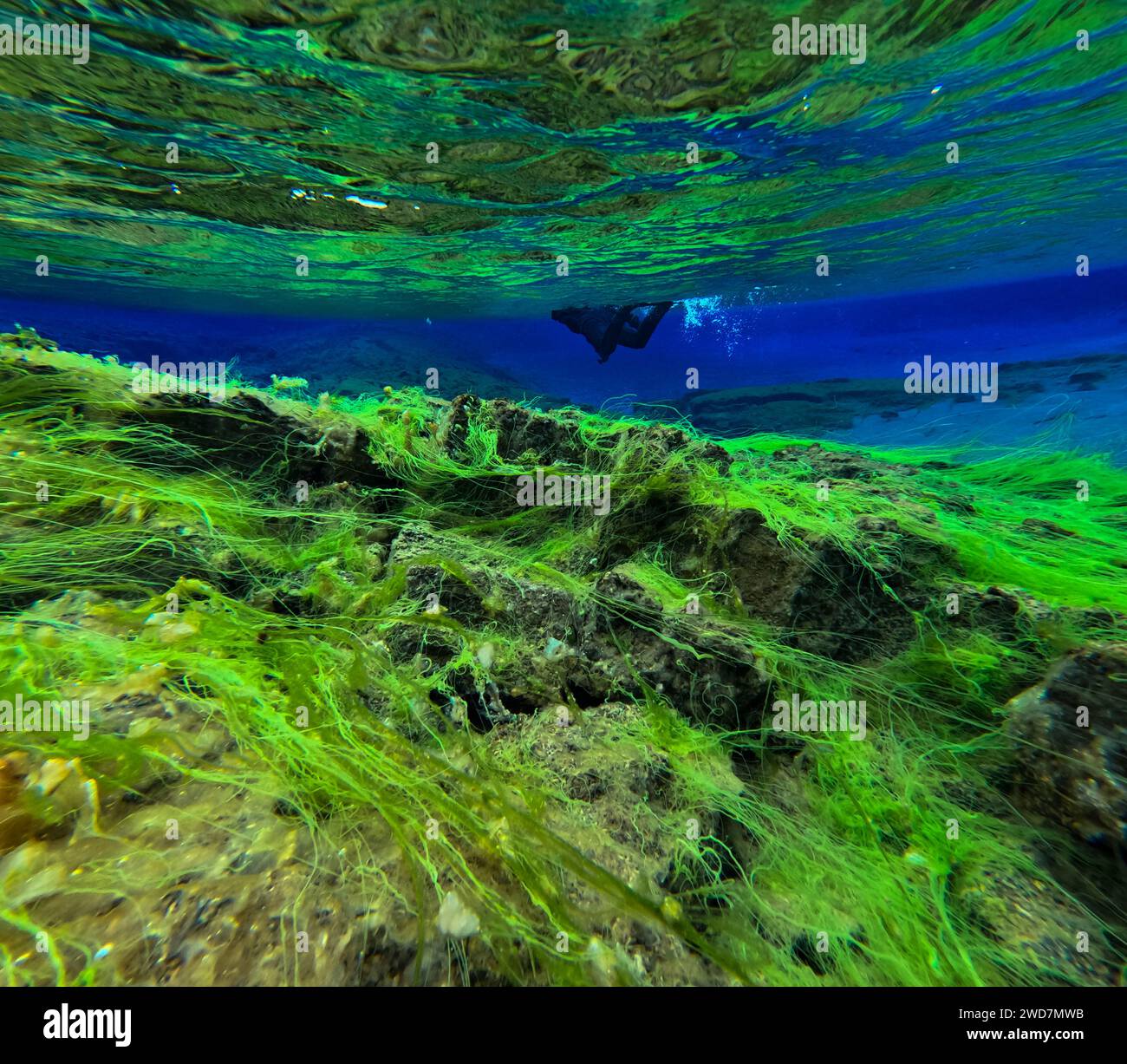 Snorkeling discovery hi-res stock photography and images - Alamy