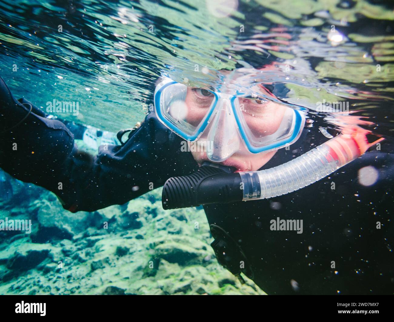 Woman snorkeling in clear glacial water and wet suit Stock Photo - Alamy