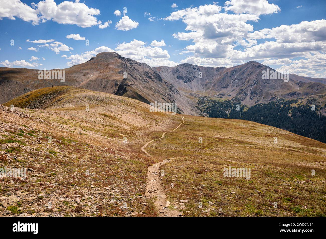 Landscape in the James Peak Wilderness, Colorado Stock Photo - Alamy