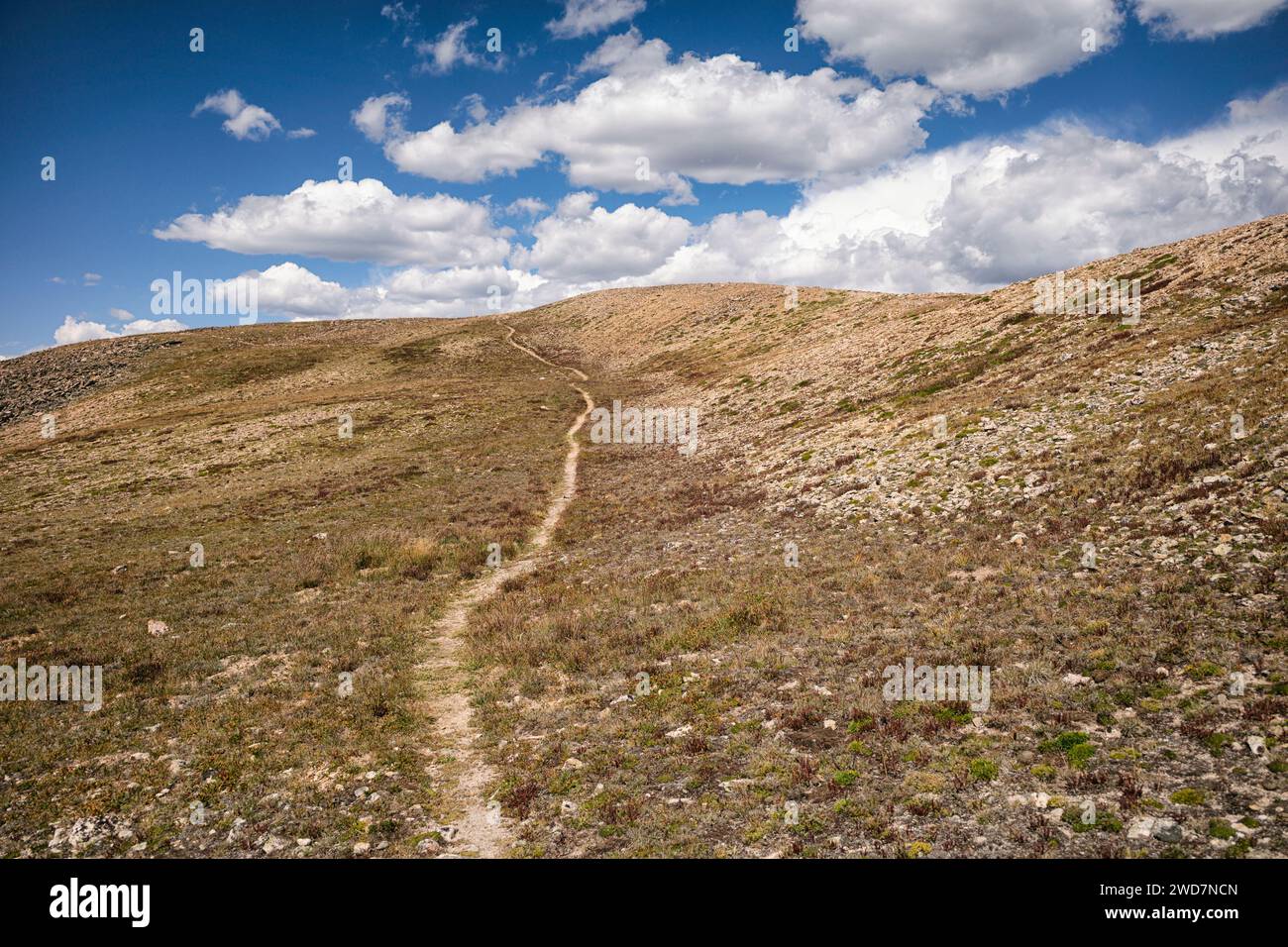Hiking trail in the James Peak Wilderness, Colorado Stock Photo - Alamy