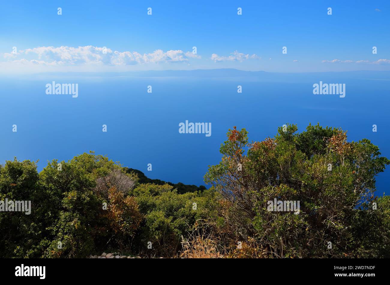 Treeline and sky hi-res stock photography and images - Alamy