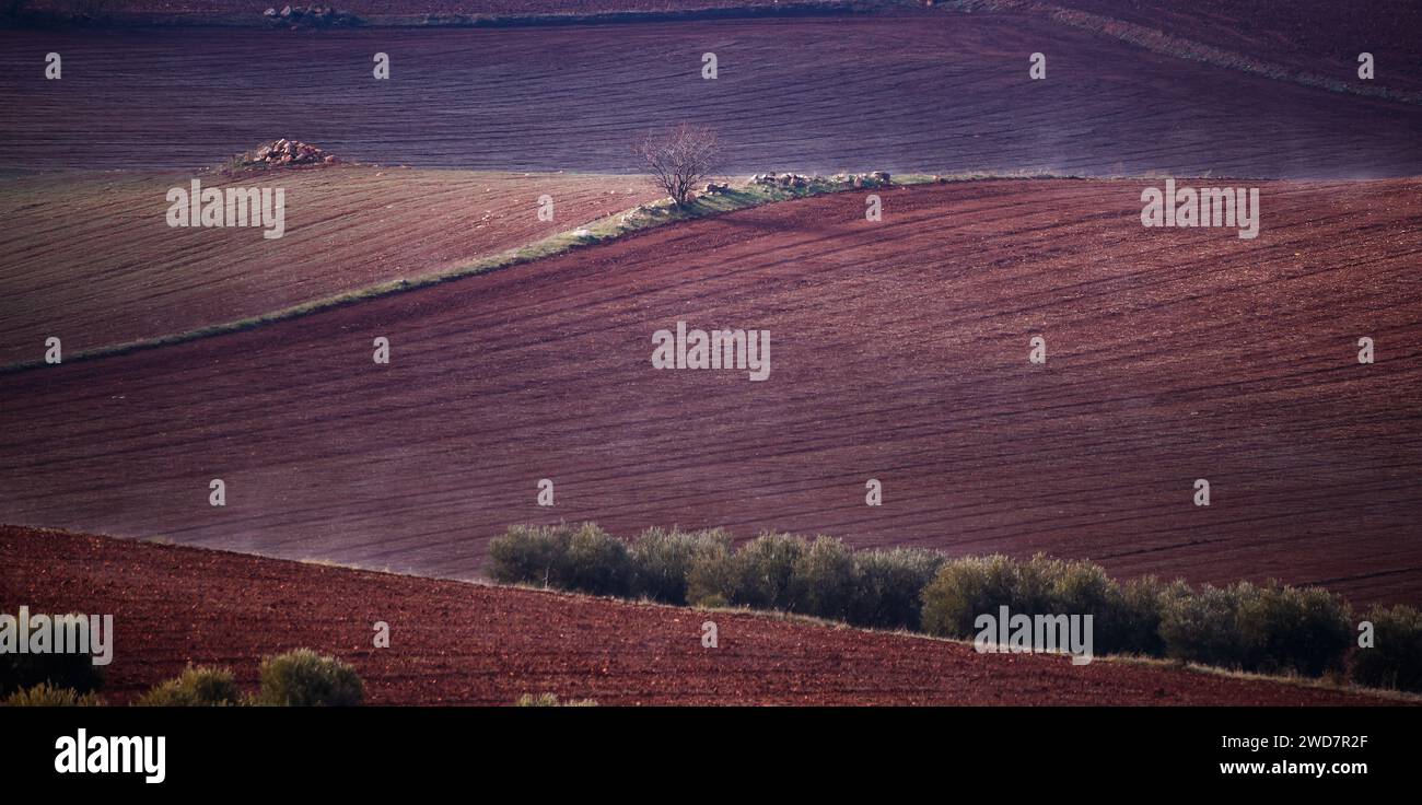 Edges of the fallow fields of Alhambra under the fog Stock Photo - Alamy