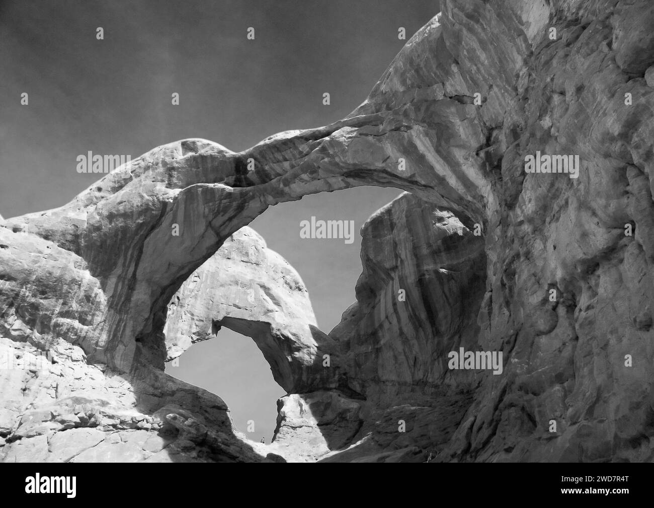 scenic rock bridge at devils garden in arches national park, USA Stock ...