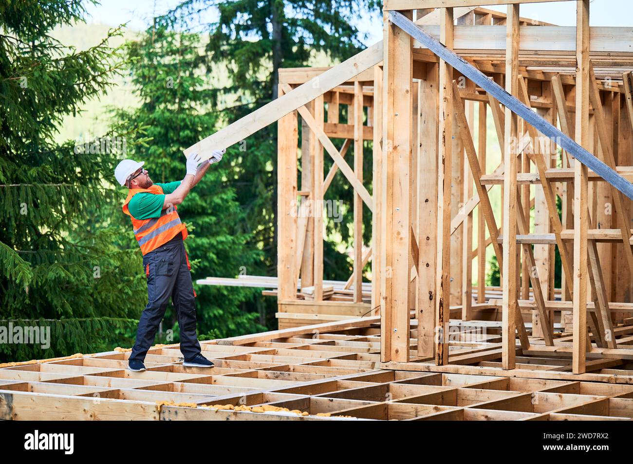 Carpenter constructing wooden-framed house near the woods. Man holding ...
