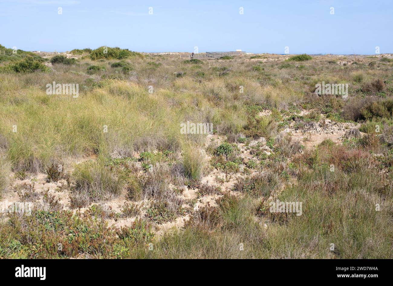 Salinas y Arenales de San Pedro del Pinatar Natural Park. Murcia, Spain ...