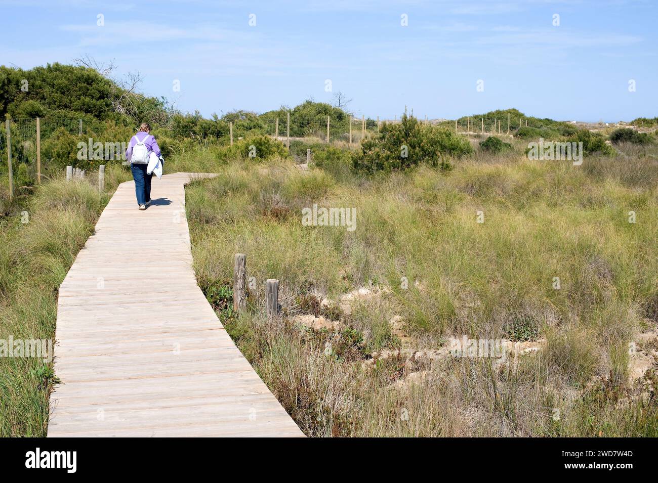 Salinas y Arenales de San Pedro del Pinatar Natural Park. Murcia, Spain ...
