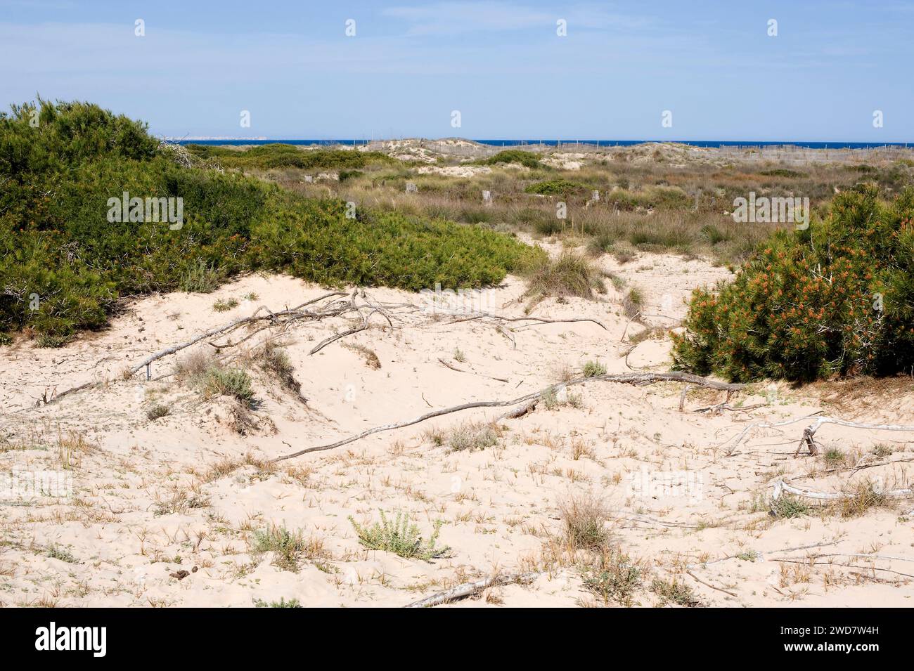 Salinas y Arenales de San Pedro del Pinatar Natural Park. Murcia, Spain ...