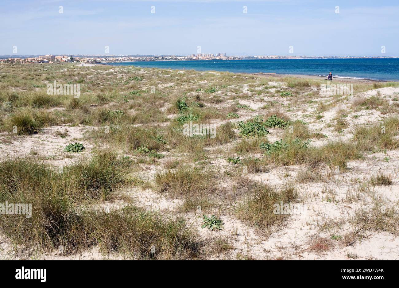 Salinas y Arenales de San Pedro del Pinatar Natural Park. At bottom La ...