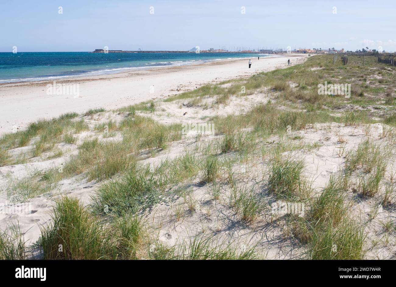 Salinas y Arenales de San Pedro del Pinatar Natural Park. Murcia, Spain ...