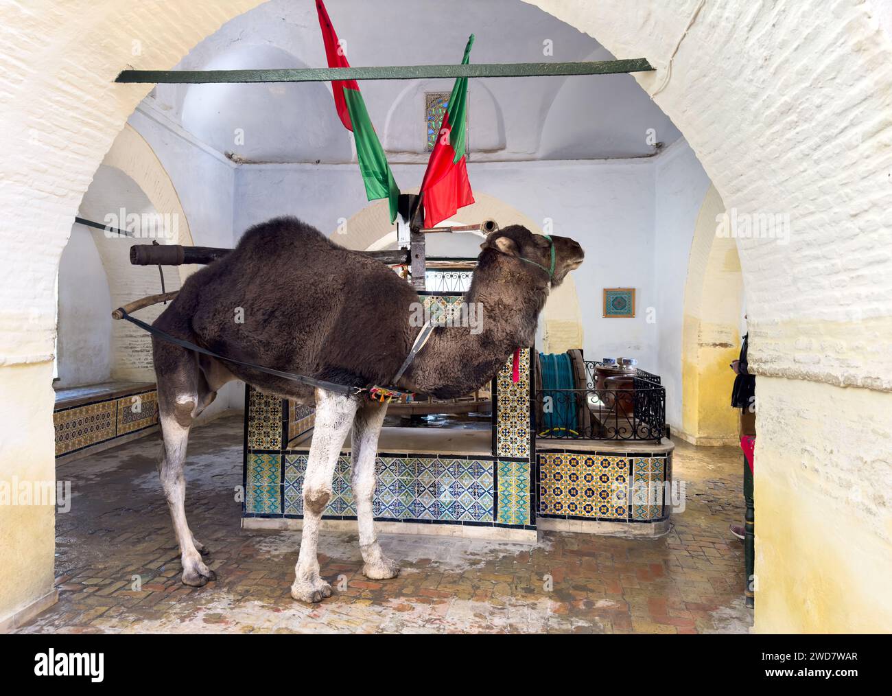 Barrouta well hi-res stock photography and images - Alamy