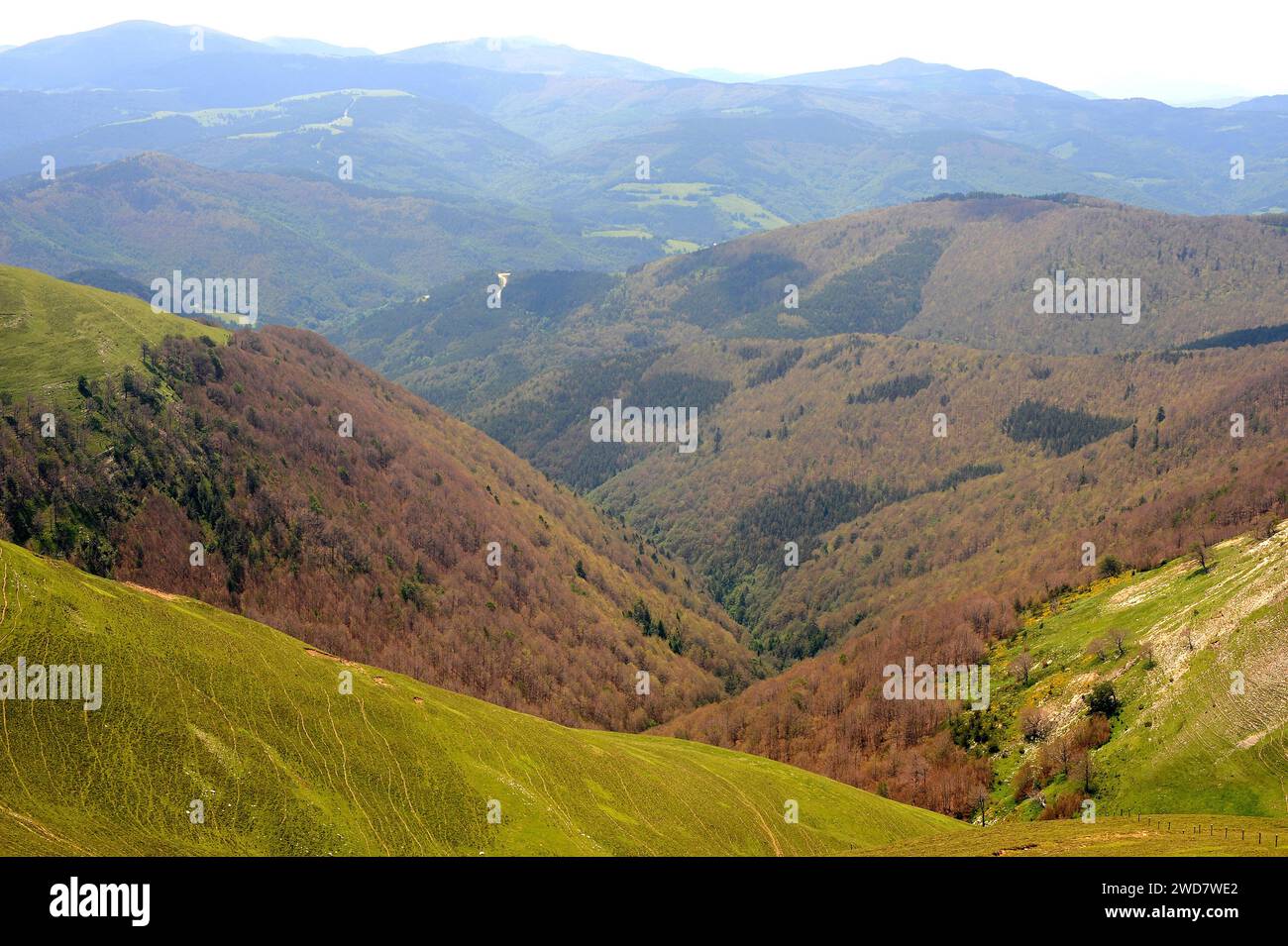 Port of Larrau, France and Spain border. Navarra, Spain Stock Photo - Alamy