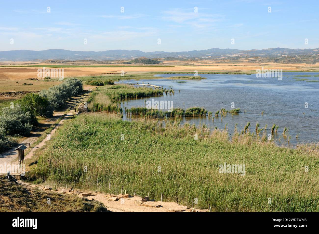 Pitillas lagoon, Natural space ZEPA. Navarra, Spain Stock Photo - Alamy
