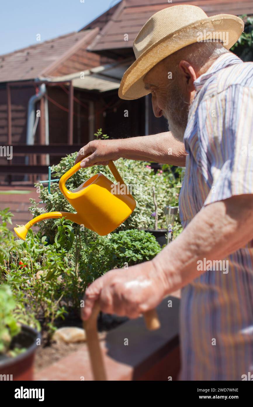 elderly man holding cane and watering flowers on terrace Stock Photo ...